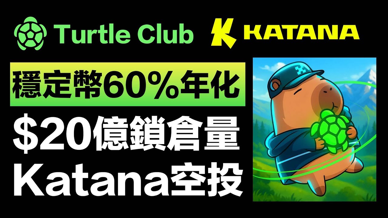 穩定幣 50%年化以上】Turtle Club Protocol收益放大型Defi #usdc ｜一魚多吃｜空投埋伏 - YouTube