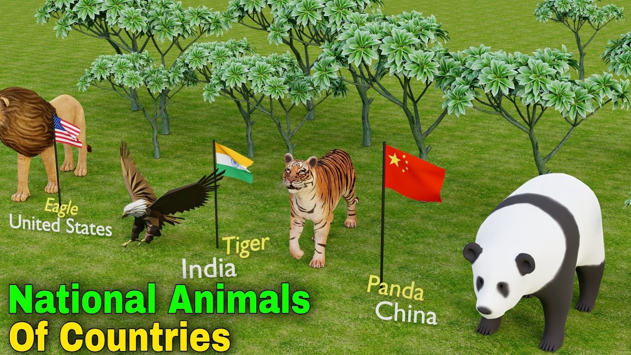 National Animals of Countries | Most Popular Animals of Countries - YouTube