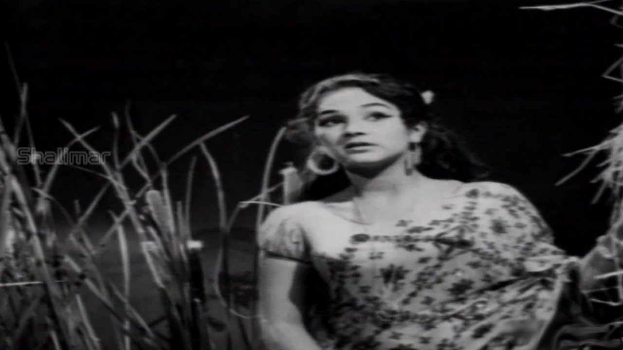 Vaade Veedu Movie (1973) || Manjula Comedy Scene - YouTube