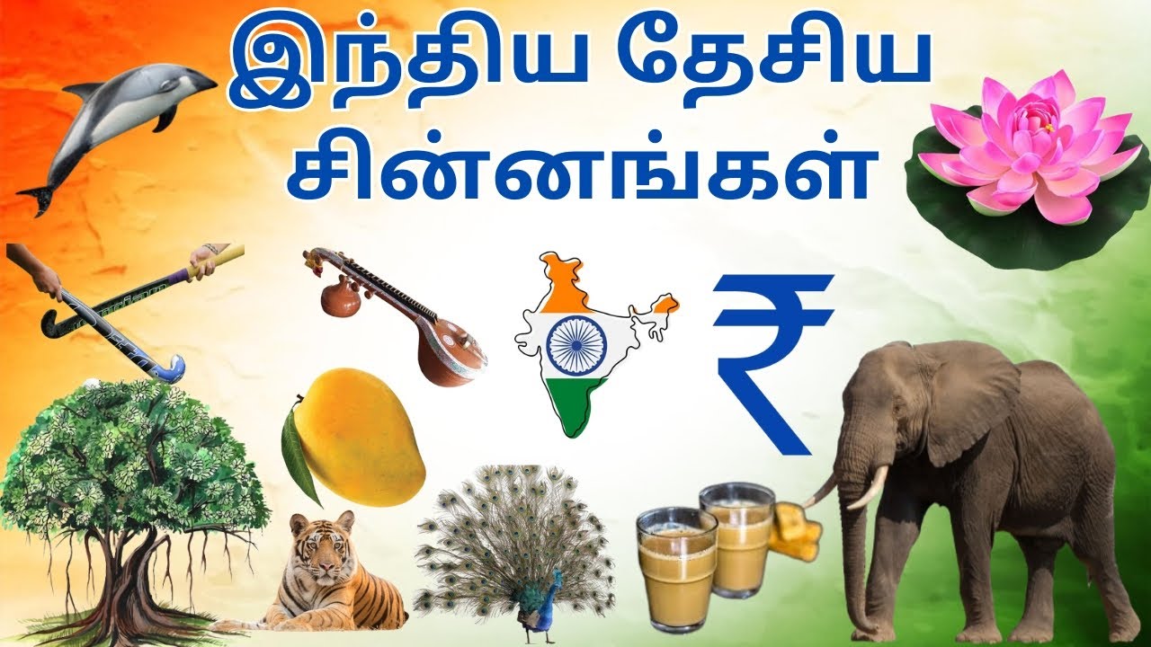 இந்திய தேசிய சின்னங்கள் | National symbols of India in tamil | national ...