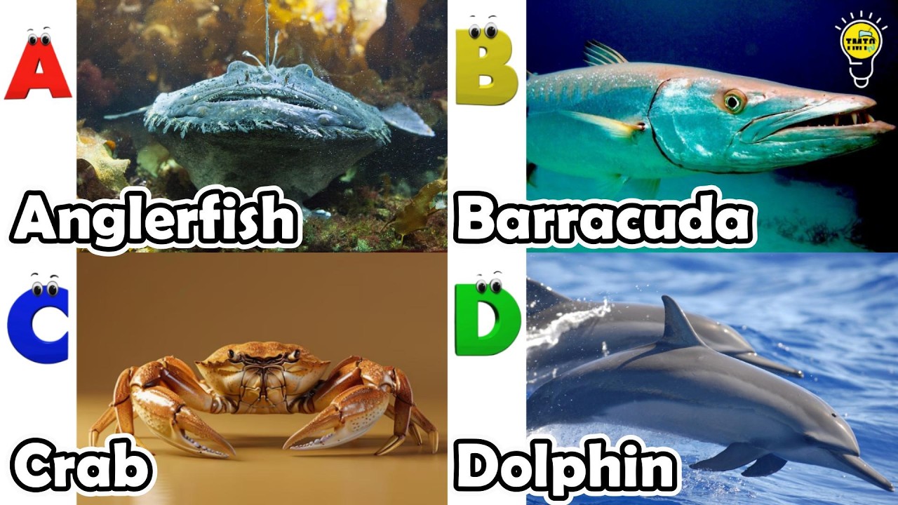 ABC Sea Animals song | Learn Alphabets | English and Animals for Kids ...