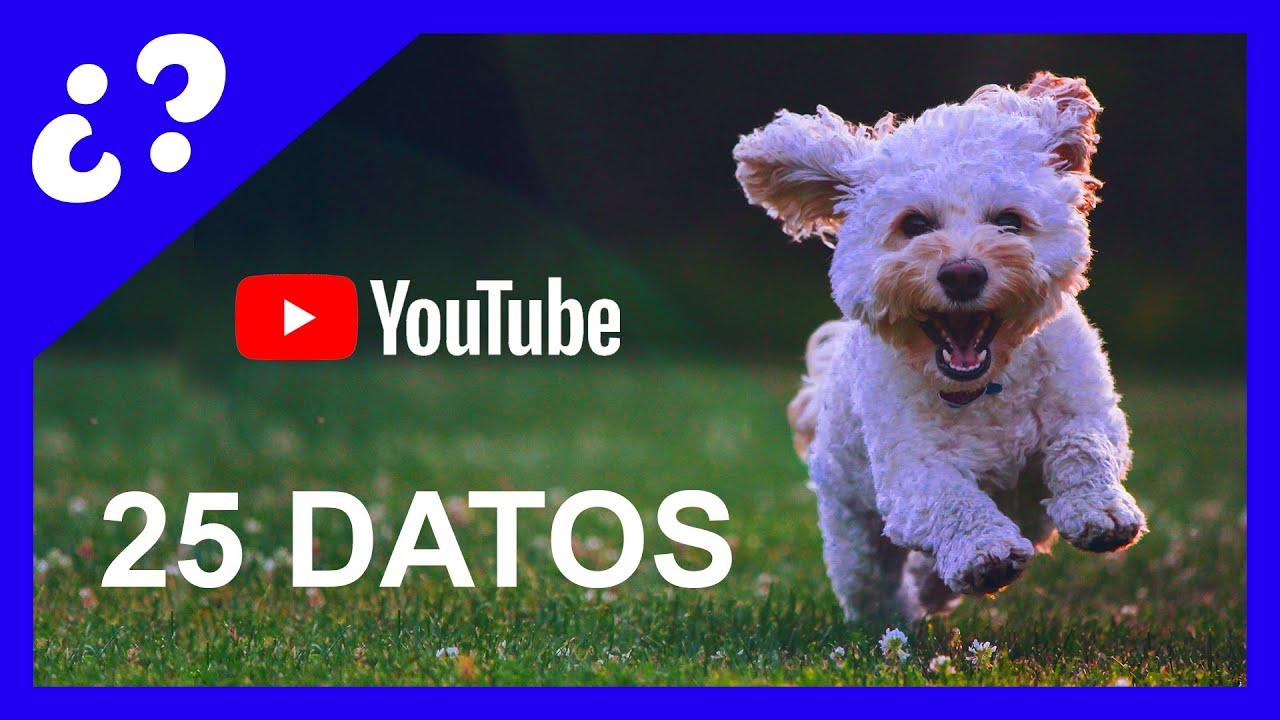 Datos Random #1 | Datos Interesantes Y Curiosos Que No Sabías (Quizás ...