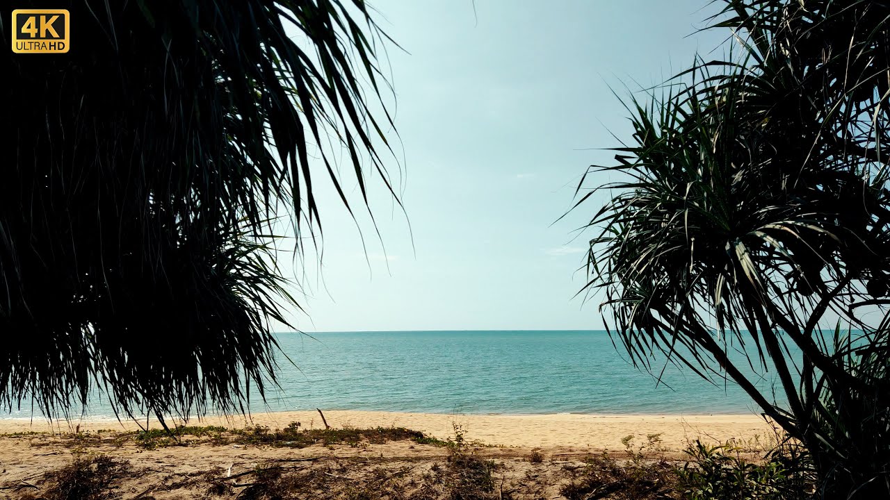 The Peaceful Oasis of the Calm Ocean - Gentle Beach Sounds for Sleeping ...