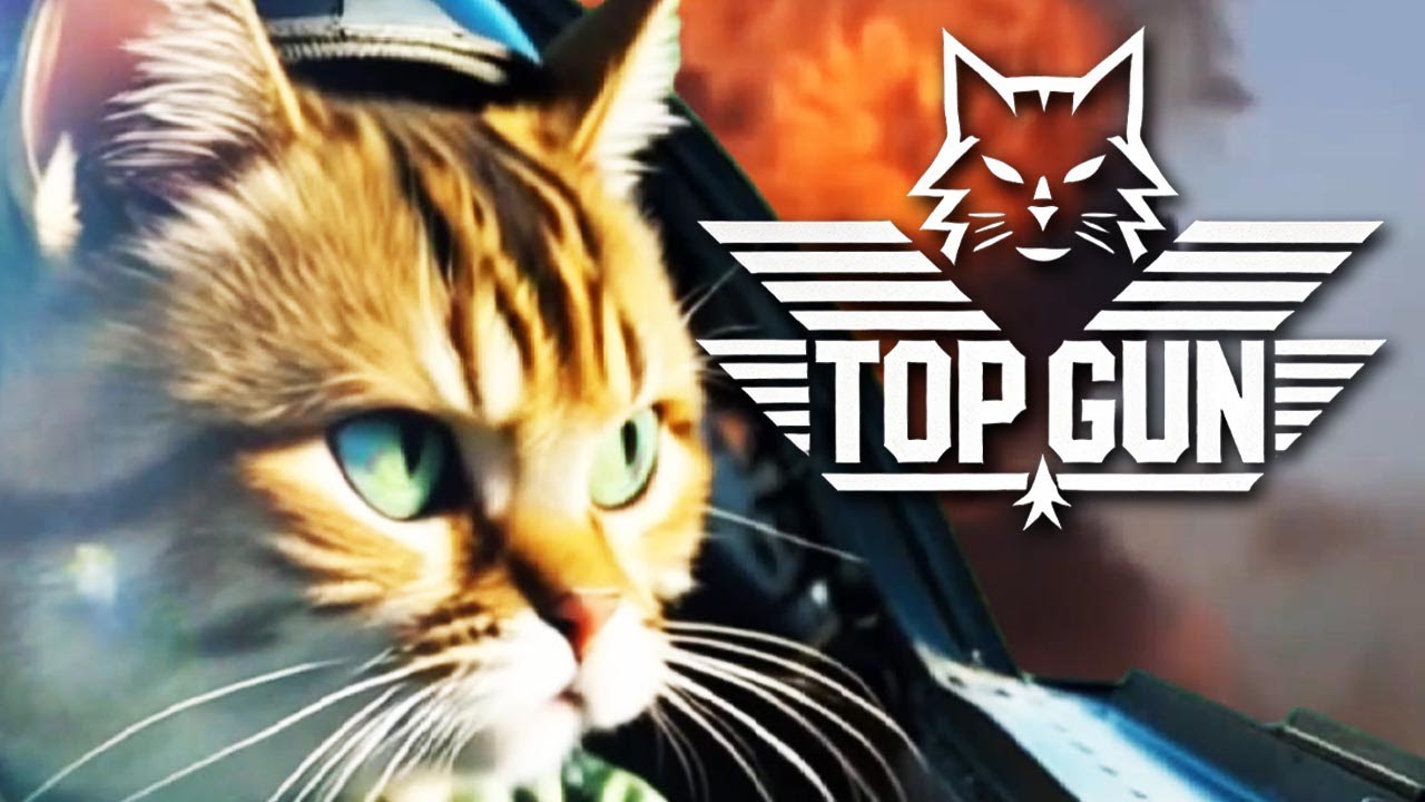 Cat Top Gun Maveric - YouTube