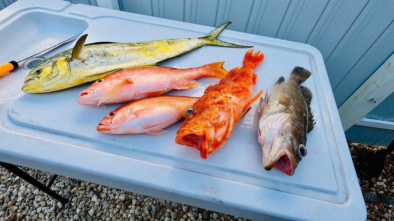 FISHING DEEP waters in Stuart Florida for the best tasting fish in the ...