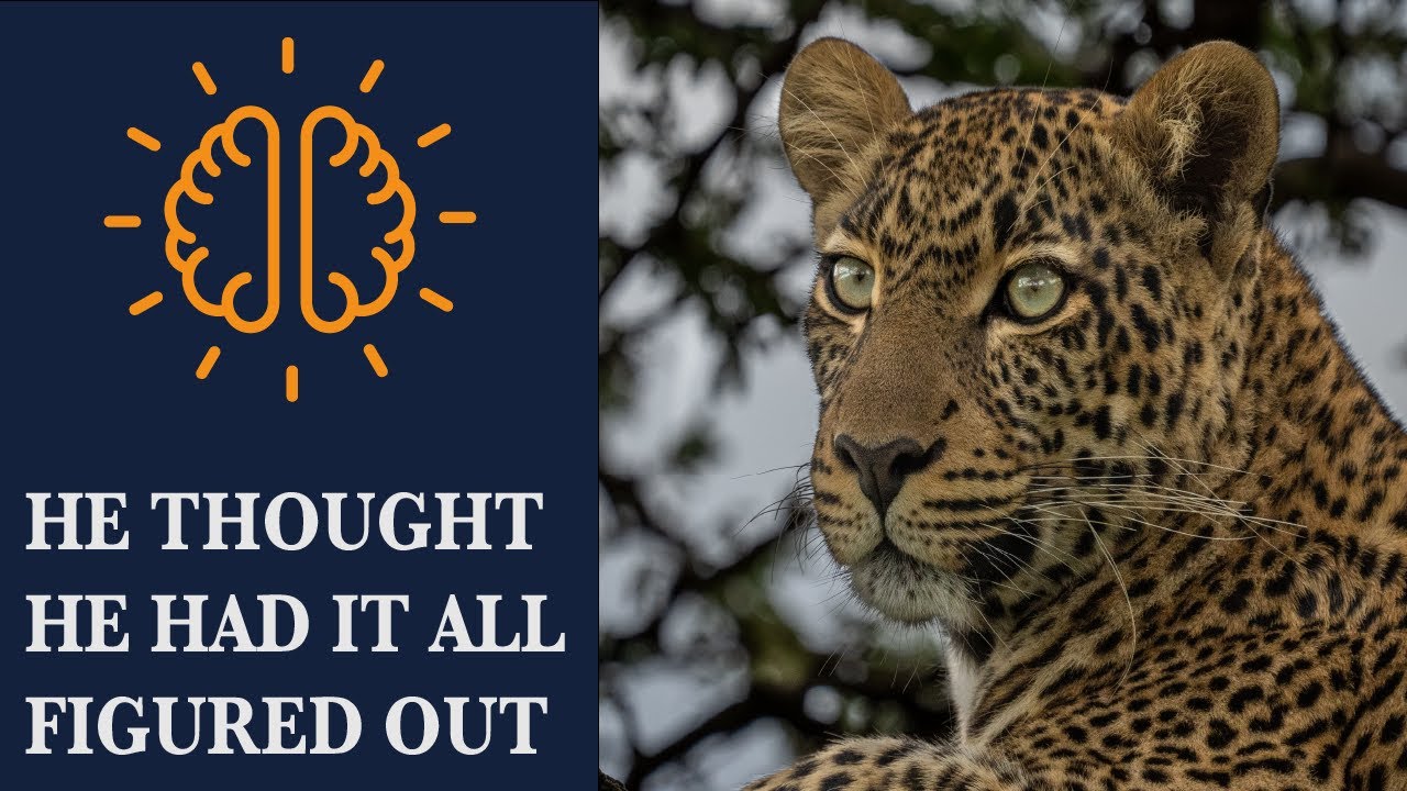 African Folklore: The leopard that thought he was too clever. - YouTube