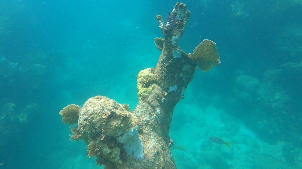 Christ of the Abyss - John Pennekamp Coral Reef State Park - Key Largo ...