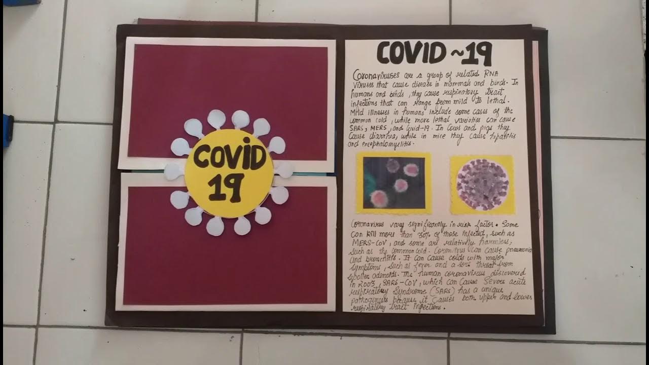 Art integrated project ideas, project file decoration , COVID -19 ...