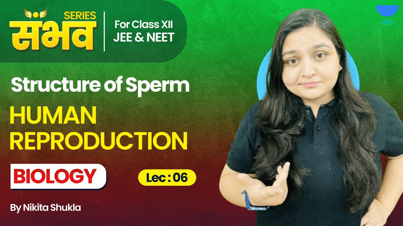 Human Reproduction Class 12 | Structure of Sperm 🔥| Class 12 Biology ...