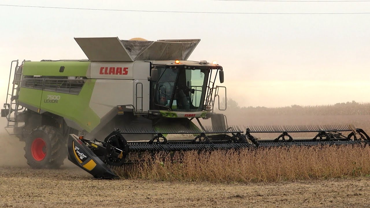 Harvest 2023 | Claas Lexion 7500 Combine Harvesting Soybeans | Ontario ...