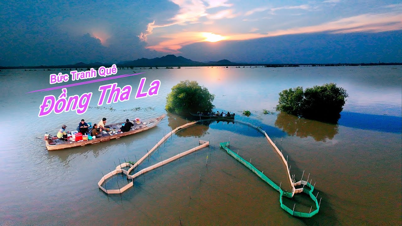 Đỉnh Điểm Nước Lũ Dâng Cao Đồng Trên Tha La - YouTube