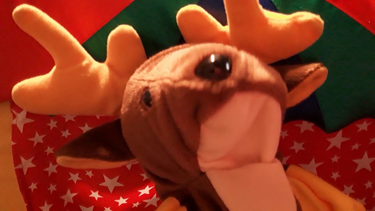 Marvin T. Moose Kid Joke of the Day and A Silly Song! - YouTube