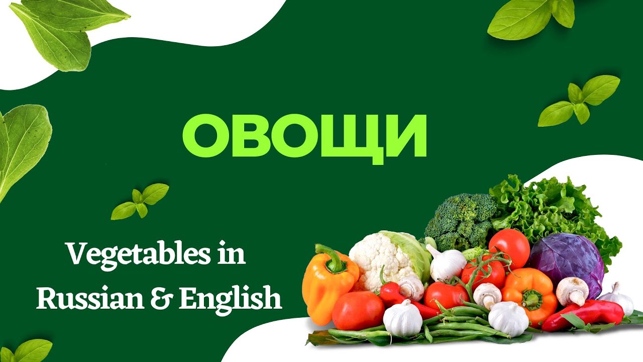 Овощи - Ovoshchi - Vegetables in Russian & English - YouTube