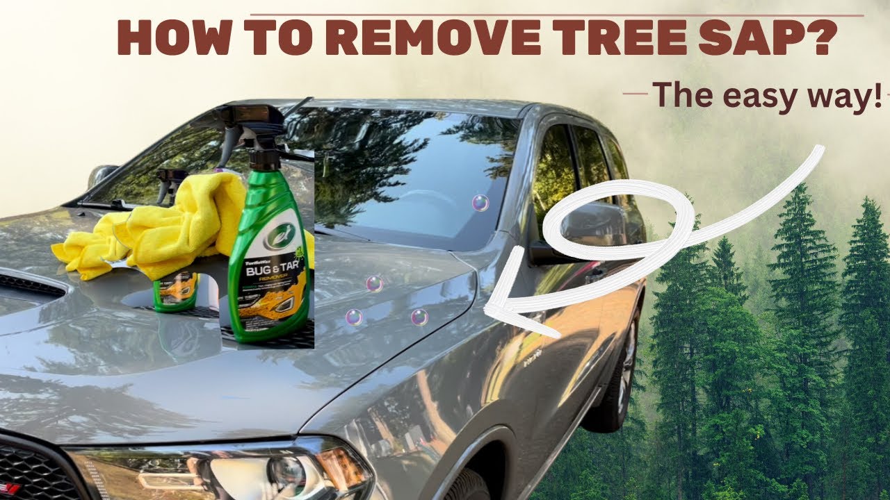 How to remove tree sap quick and easy - YouTube