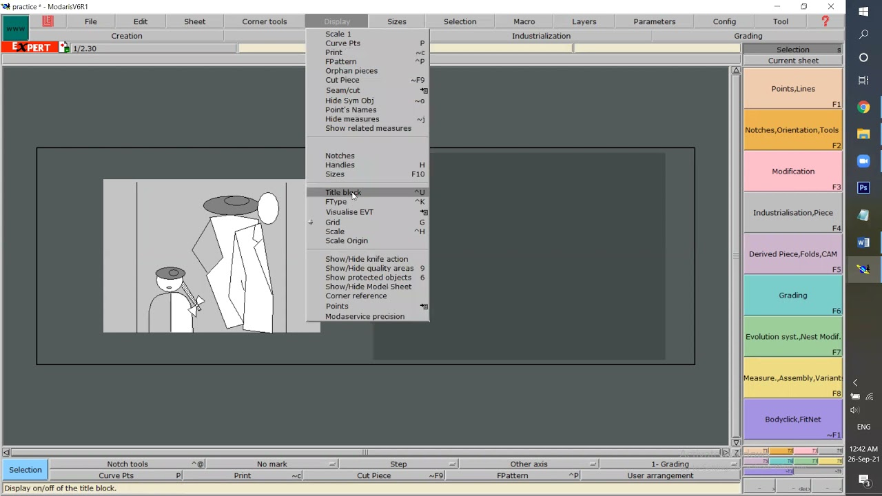 Lectra modaris software | Common set up | All garments | For beginners ...