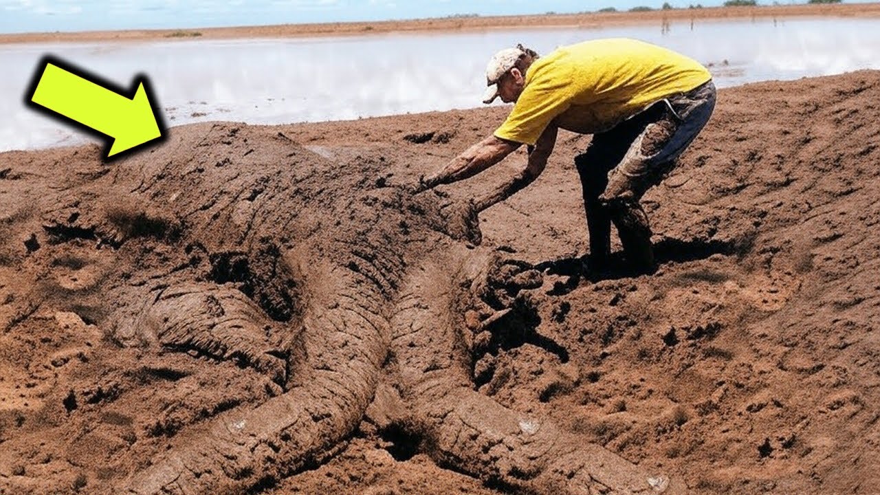 Shepherd Notices A Strange Lump In The Sand Freaks Out When He Realizes ...
