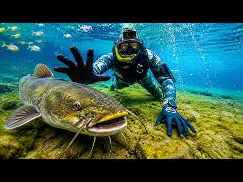 I Caught Giant Catfish While Fishing UNDERWATER In Ultra Clear RIVER!! (HUGE FISH)