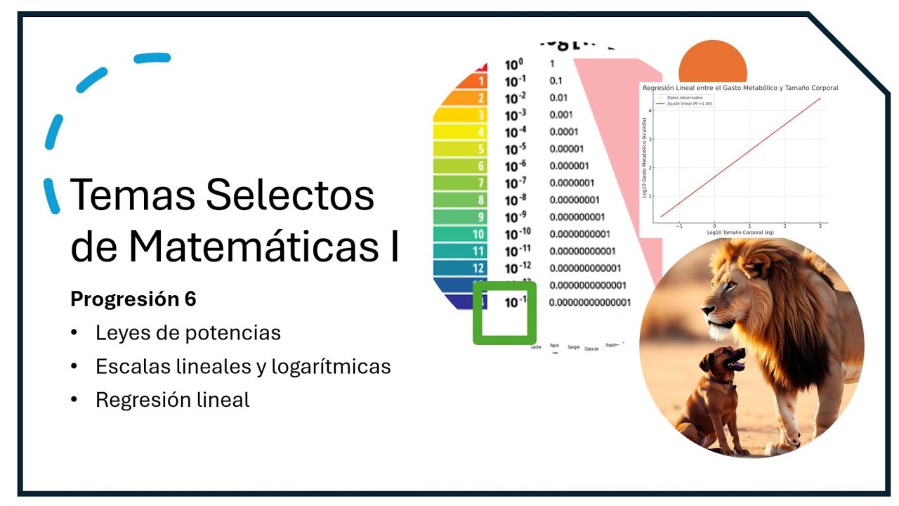 TSM 1 | PROGRESION 6 | Leyes de Potencias, Escalas Logarítmicas y ...