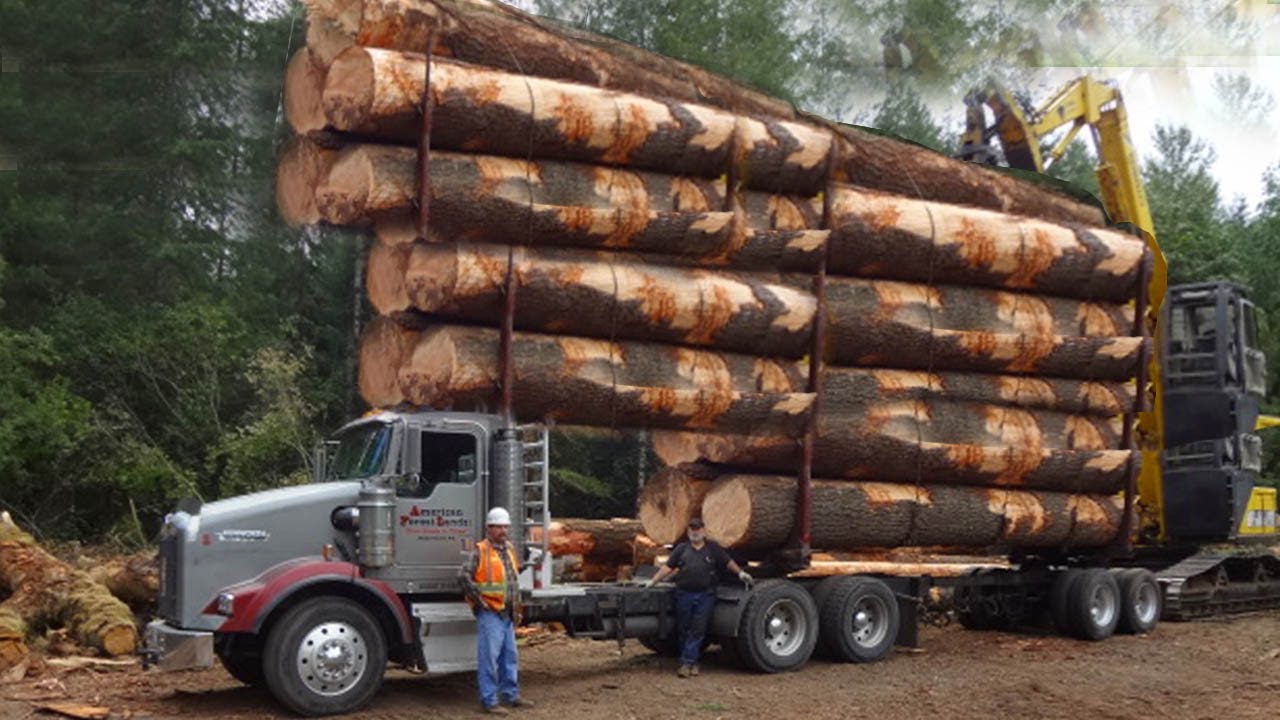 Amazing WoodWorking Machines and Most Satisfying Modern Wood Processing ...