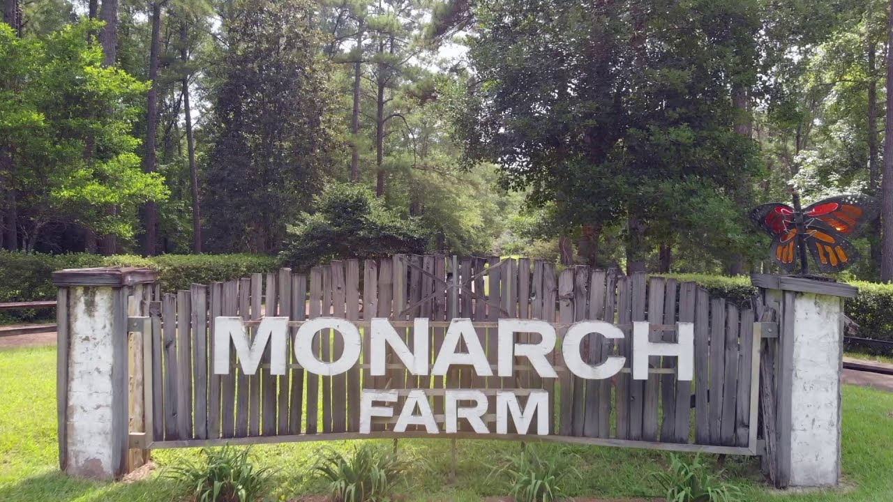 Monarch Farms edit 1 - YouTube