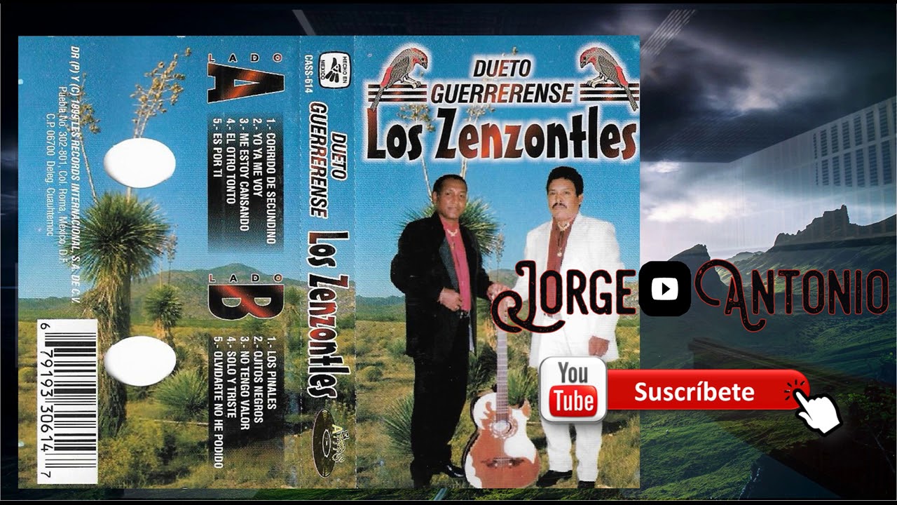 LOS PINALES /Dueto Guerrerense Los Zenzontles - YouTube