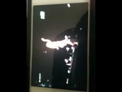 Belly dancer on Lebanese TV