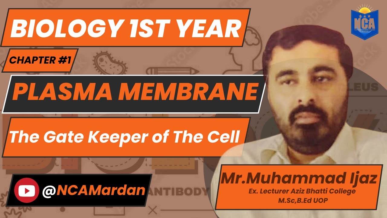 Plasma Membrane: The Gatekeeper of the Cell | Biology 1st Year ...