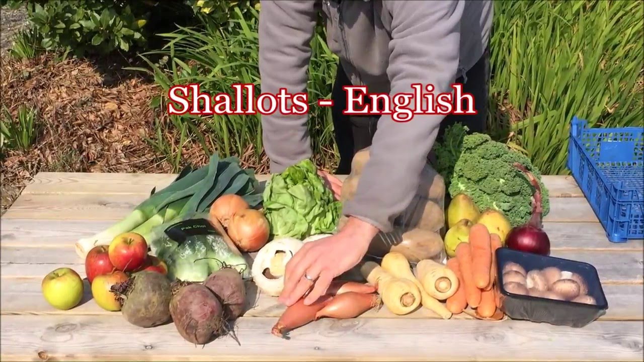 Real Food Box Seasonal Fruit and Veg Boxes 21.3.16 - YouTube