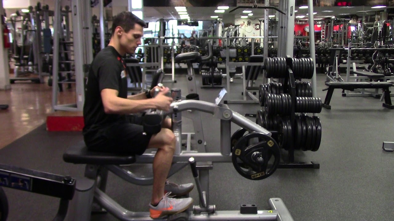 Sentadilha - YouTube