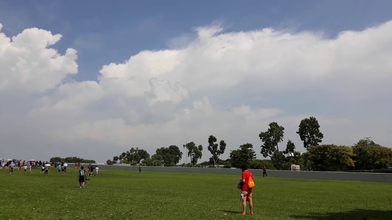 rsaf 50 yrs aug11 - YouTube