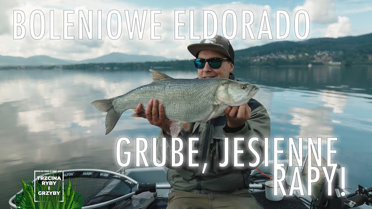 Boleniowe eldorado! Grube, jesienne rapy jedna za drugą! - YouTube