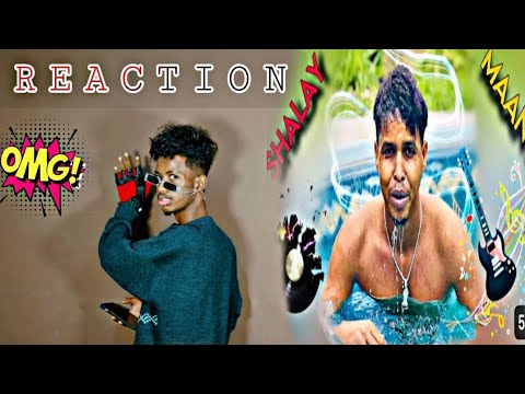 REACTION SHARMA BOY // SHALEY IYO MAAN 😱 - YouTube