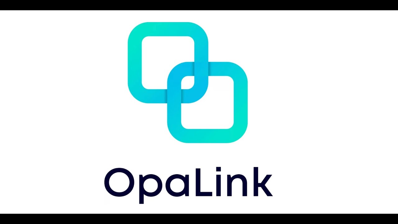 Opalink Pitch at Digital Ignition x FG Ventures Demo Day - YouTube