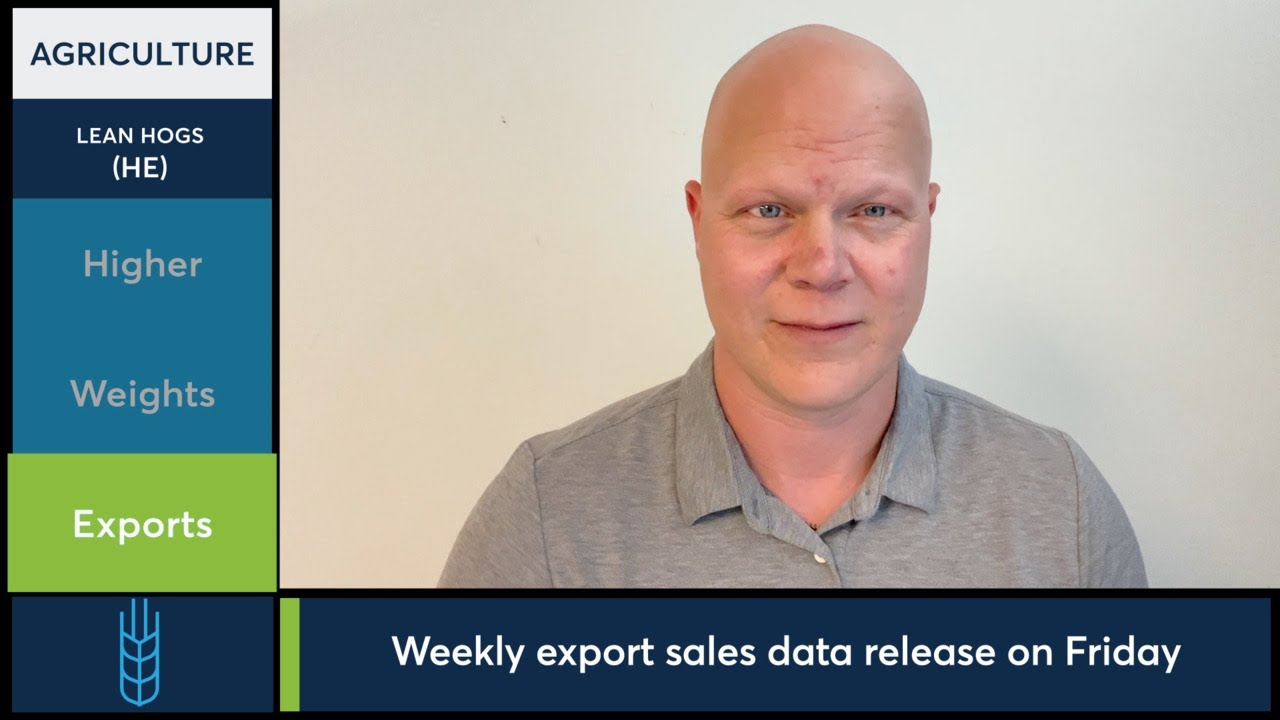 Lean Hog futures close up, off their early highs; 2/22/24 - YouTube