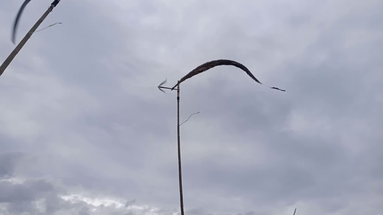 Kokoleceran gunung vilar mantep - YouTube