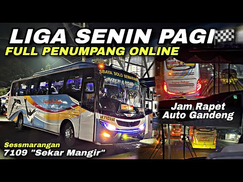 Liga Senin Pagi 🔥 Jam Rapet & Full Penumpang Online 😱| trip Sugeng Rahayu W 7109 UZ “ Sekar Mangir “