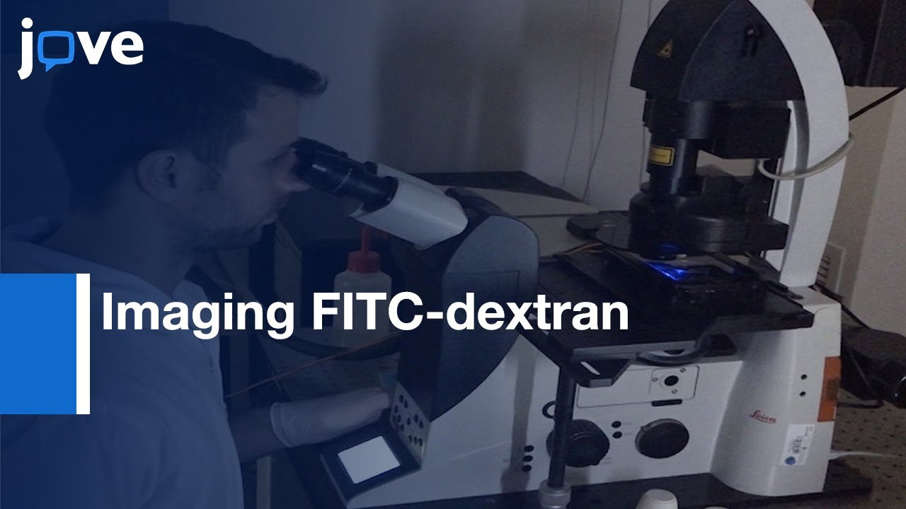 Imaging FITC-dextran As Reporter or Regulated Exocytosis l Protocol ...