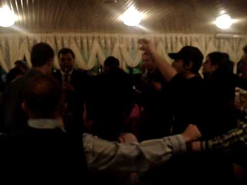 kıyıcı rakı balık klarnet keman darbu