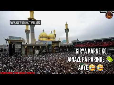 Yabnaz zehra s.a