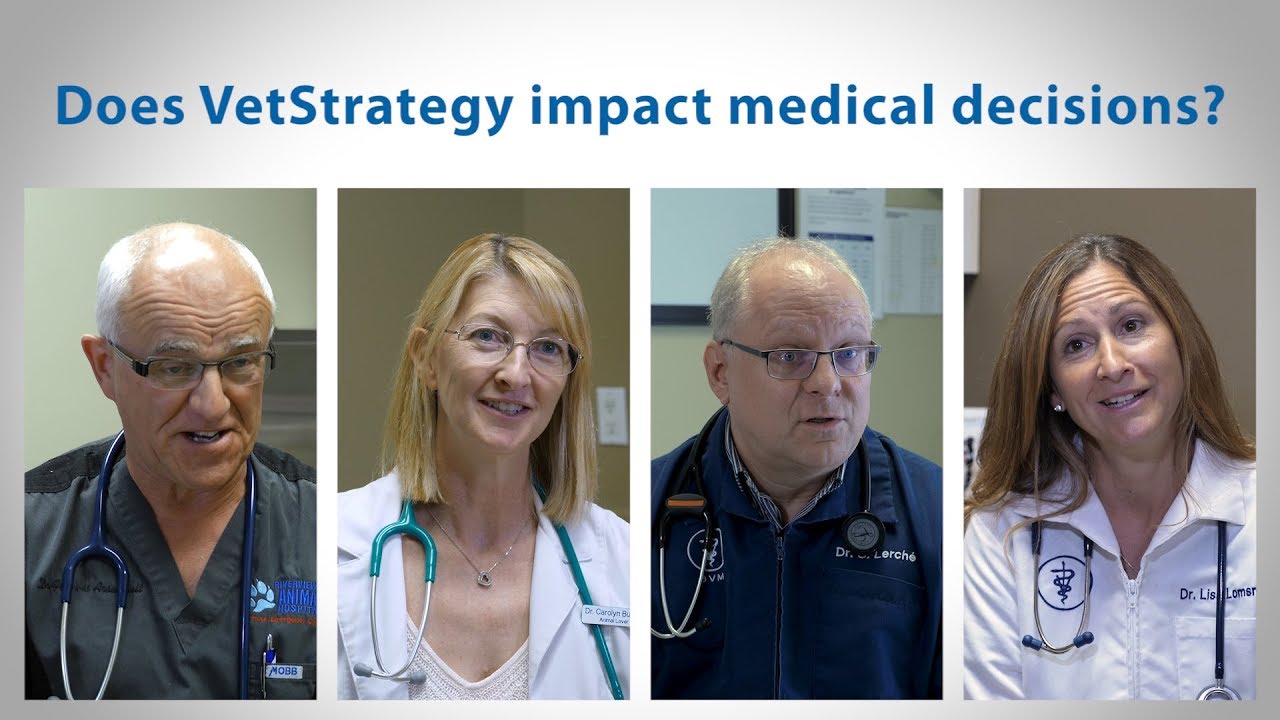 Does VetStrategy impact medical decisions? - YouTube