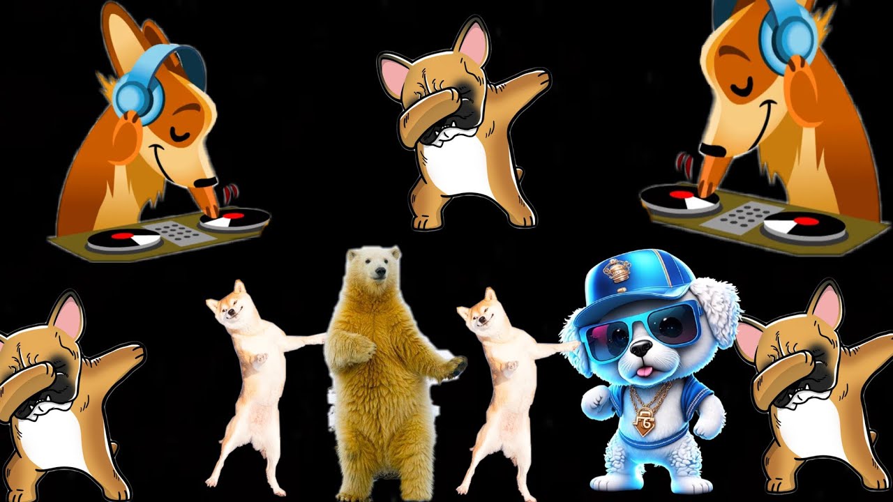 Dog dancing - YouTube