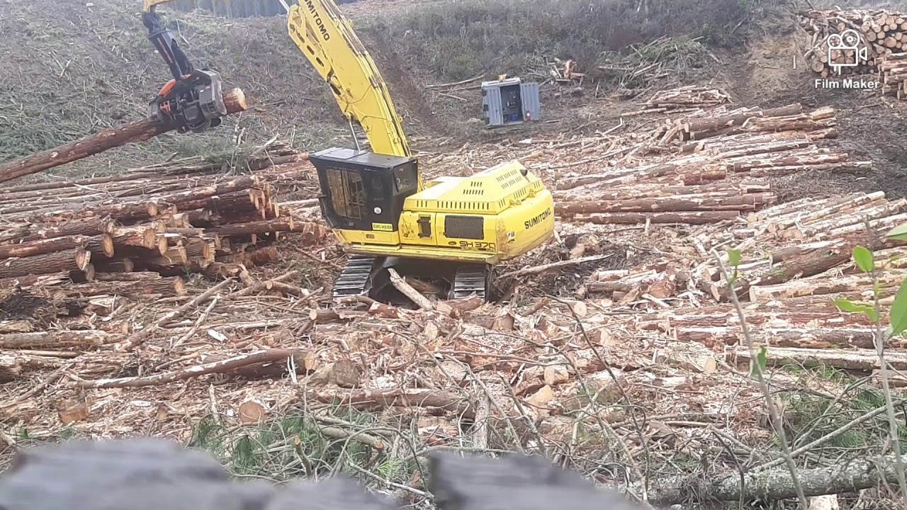 Tokoroa logging nz - YouTube