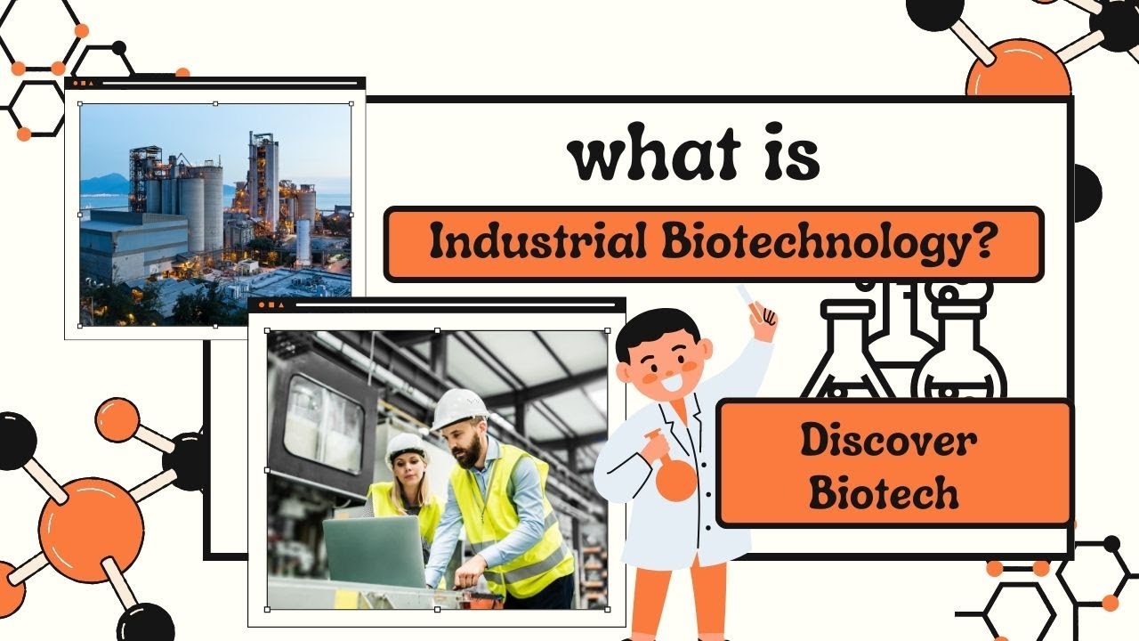 What is industrial biotechnology? Its application and scope | An ...