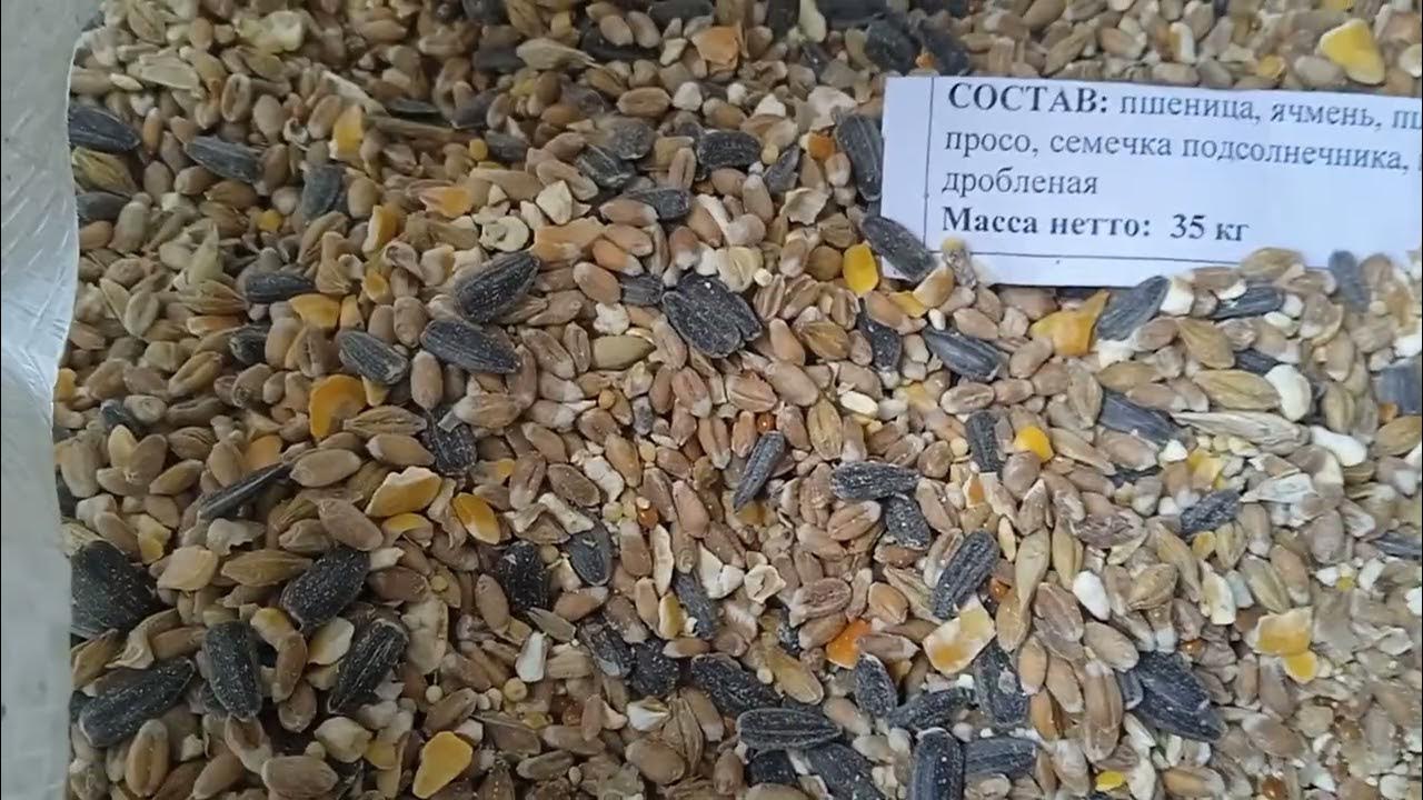 Зерно смесь для кур несушек - YouTube