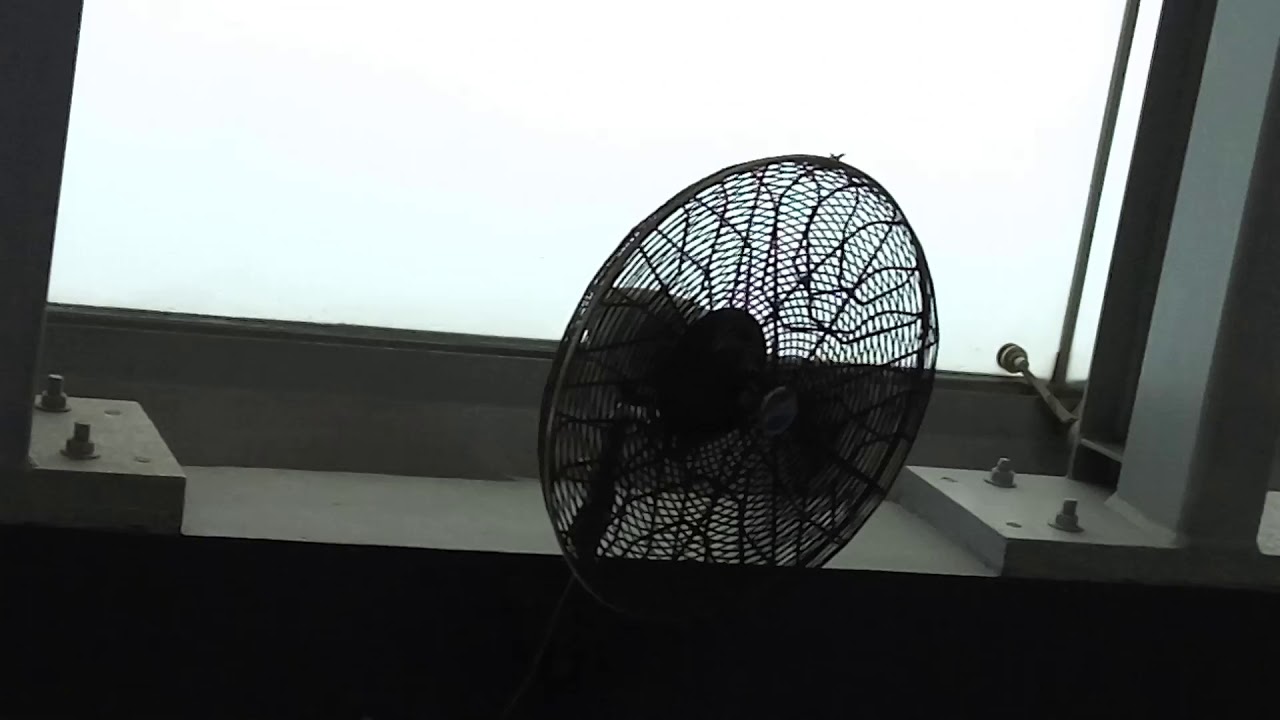 Windy 20" & 24" Industrial Oscillating Wall Fans - YouTube