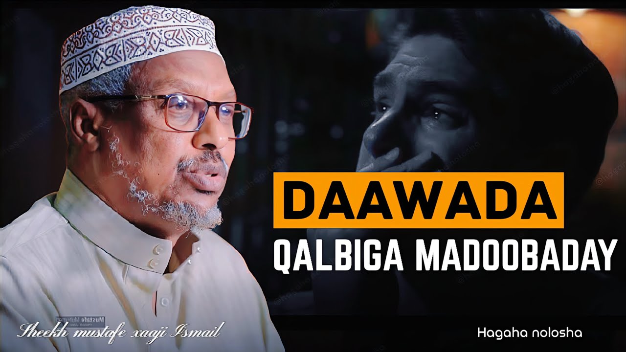 Daawada Qalbiga Madoobaday || Dhiirigalin ||Sheekh Mustafe ...