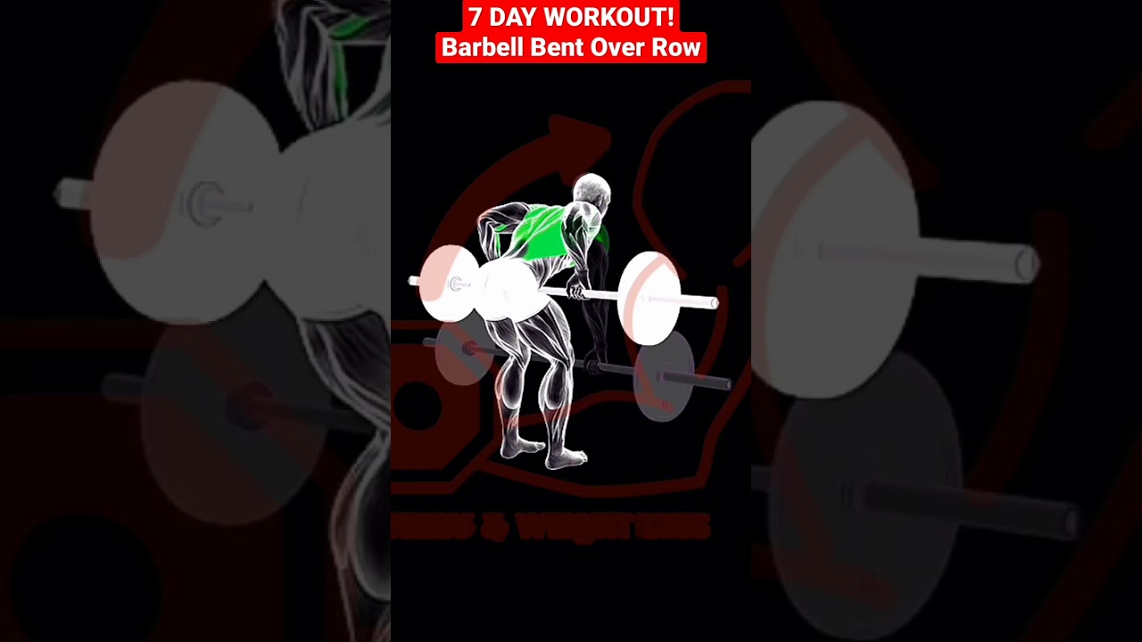 7 DAY WORKOUT! Barbell Bent Over Row - YouTube