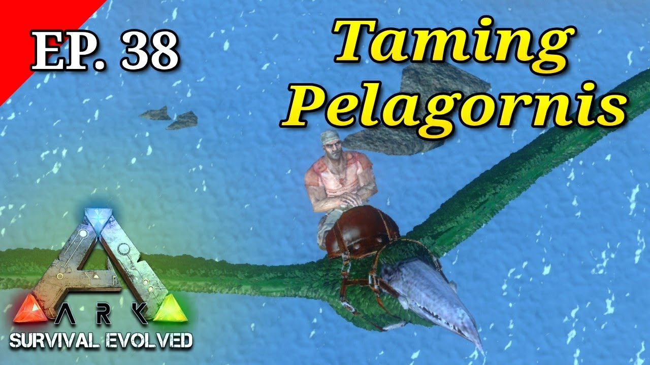 Taming Pelagornis and Making frog feet | Ark survival evolved mobile ...
