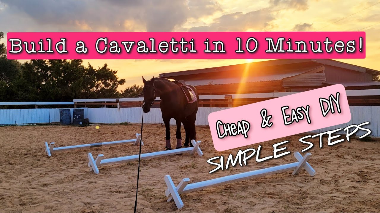 Build a Cavaletti in 10 Minutes in 5 Simple Steps! For your Horse ...