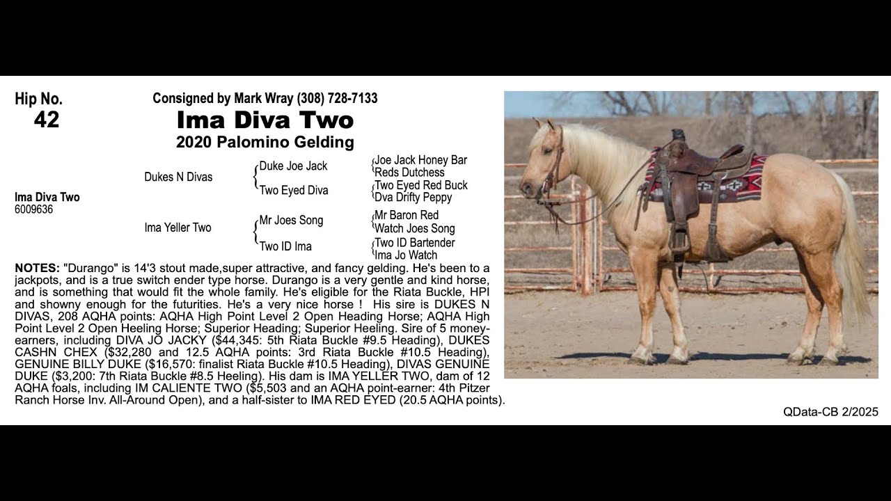 Pitzer Ranch 2025 Spring Sale Lot 42 Ima Diva Two - YouTube